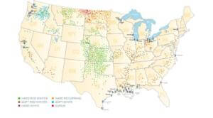 Wheat 101 | National Associate of Wheat Growers